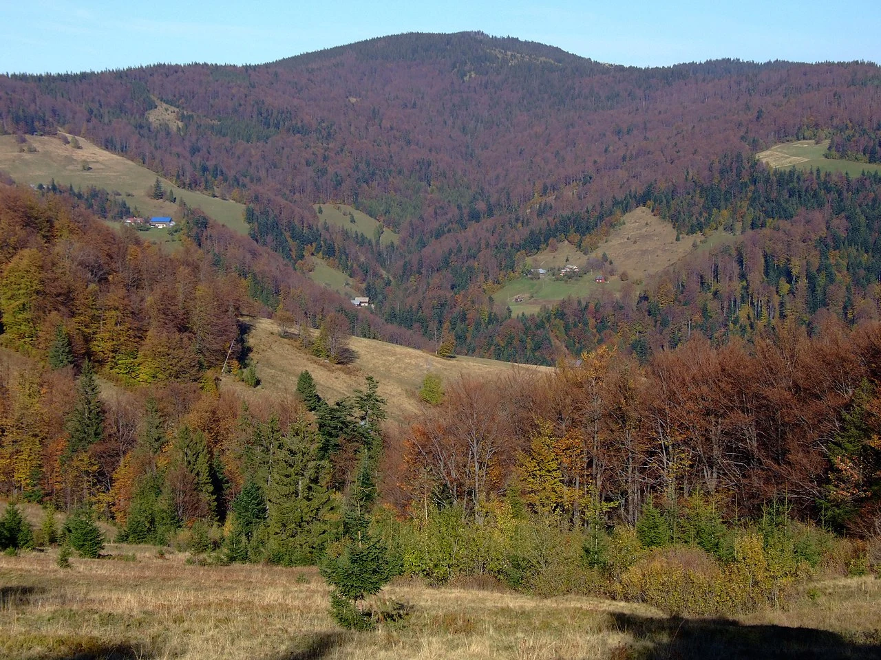 Turbacz - najpiękniejsze miejsce w Gorcach